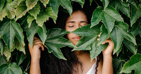 The Difference Between Mindfulness And Dispositional Mindfulness