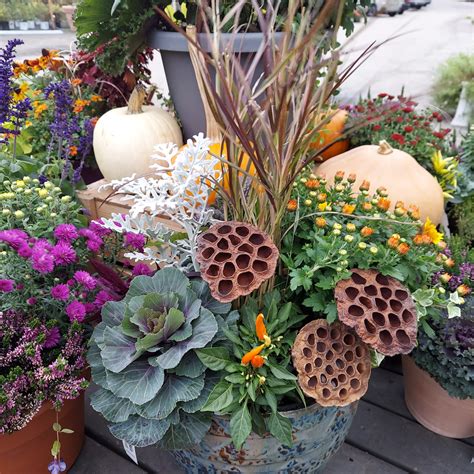 Custom Containers Kennedys Country Gardens Garden Center Scituate Ma
