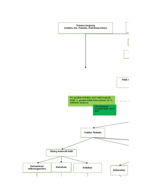 Patoflow Fraktur Pdf