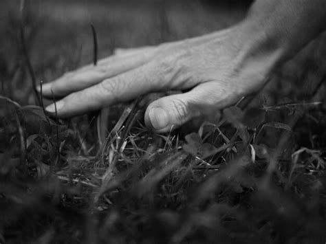Premium Photo Close Up Of Hands Touching Grass