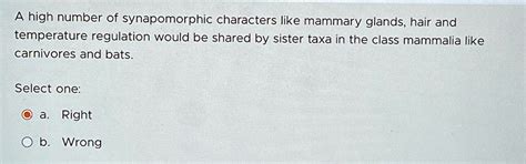 A High Number Of Synapomorphic Characters Like Mammary Glands Hair And Temperature Regulation