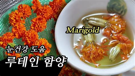 눈 건강 도움되는 마리골드금송화 꽃차 만들기 How To Make Flower Tea Marigold Youtube