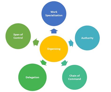Management Principles Of Organizing