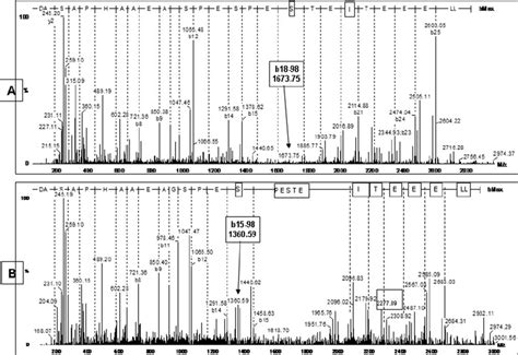 Lc Msms Spectra Showing Newly Identified Phosphorylation Site Pser 98