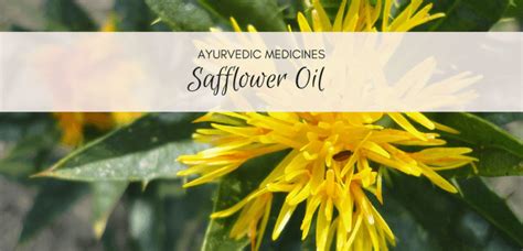 Safflower Oil Aka Kusumb Oil Uses Dosage And Side Effects
