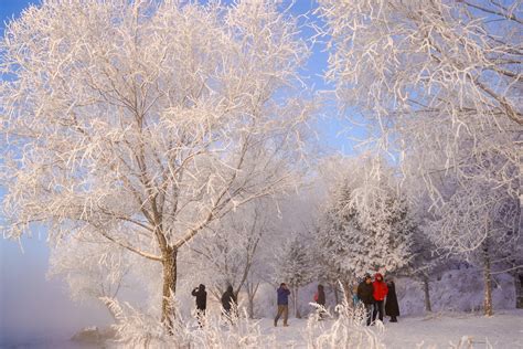 镜观吉林·长白天下雪 奥运冠军也来吉林滑雪了，你来吗？凤凰网吉林凤凰网