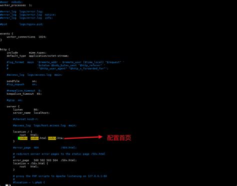 Nginx Nginx Csdn