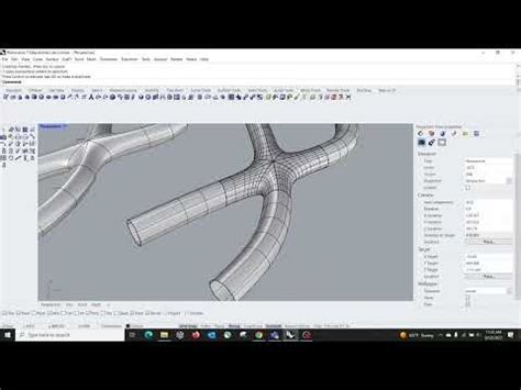 Rhino SubD YouTube