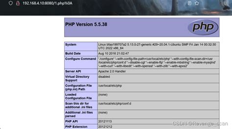 vulhub漏洞复现26 d cve 2010 3863 csdn博客