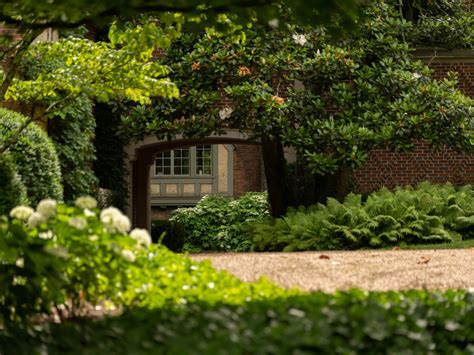 Homepage Stephen W Hackney