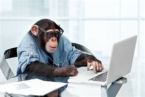 What Is Monkey Testing QACraft Pvt Ltd