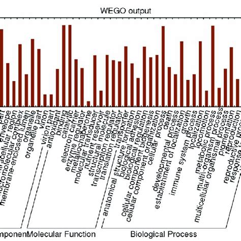 Functional Categories Based On Go Annotations Download Scientific