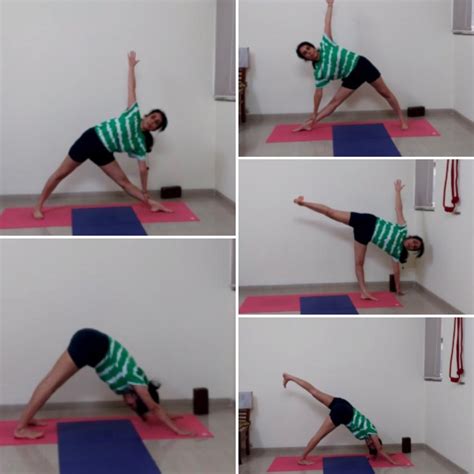 Woman Organs Protection In Iyengar Yoga Tahera Dashti Special Offer