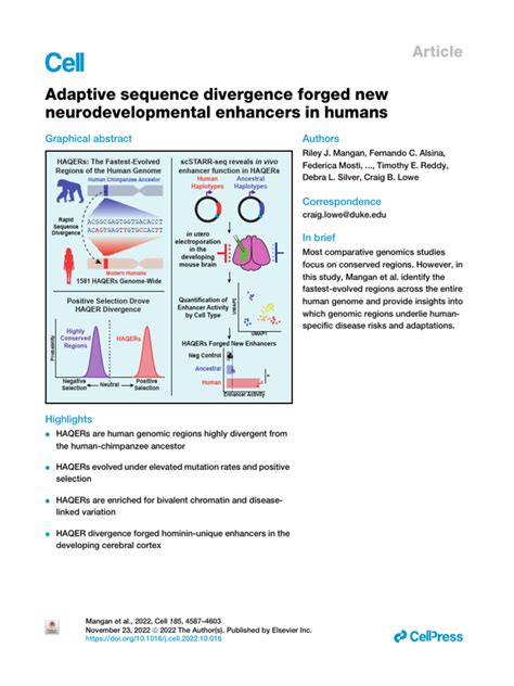 Adaptive Sequence Divergence Forged New Neurodevel Pdf Mutation