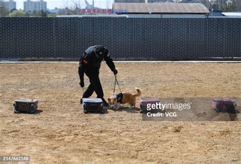 15 Photos And High Res Pictures Getty Images