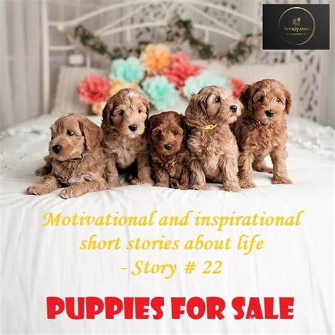 Inspirational Stories With Moral The Value Of Money Inspiring Story