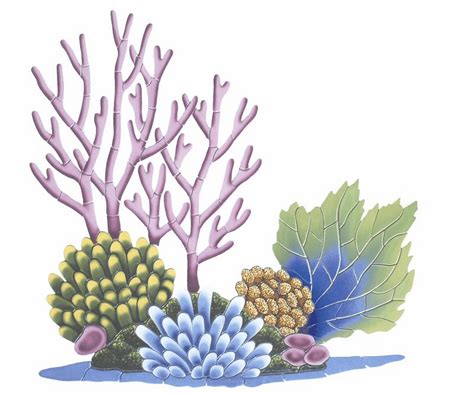 サンゴ礁イラストイメージ