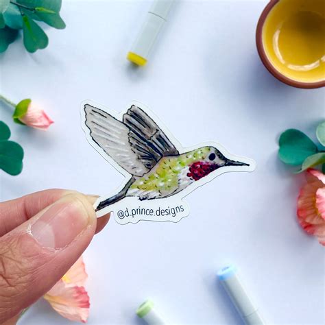Hand Illustrated Hummingbird 2 Vinyl Sticker D Prince Designs