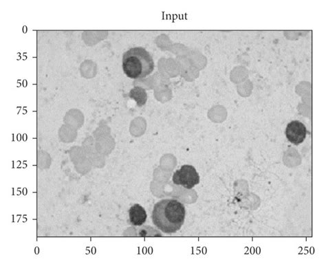 Datasets Samples Predicted A Input Image B Ground Truth Image Download Scientific