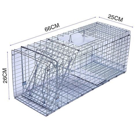 Possum Trap For Trapping Possums Humanely And Safely Buy Online