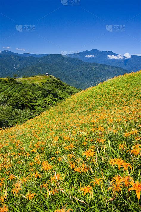 台湾花莲美丽的柳石山。