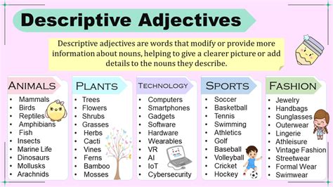 Descriptive Adjectives Definition Types And Examples Grammarsphere