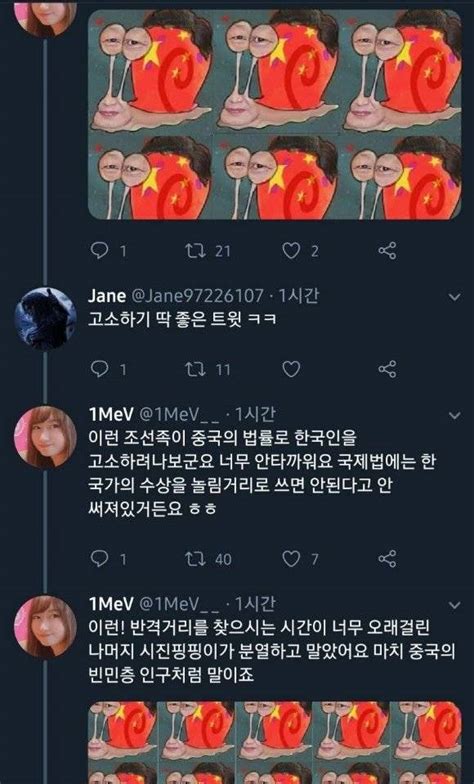문재인 대통령 비난한 중국인의 최후 인스티즈instiz 이슈 카테고리