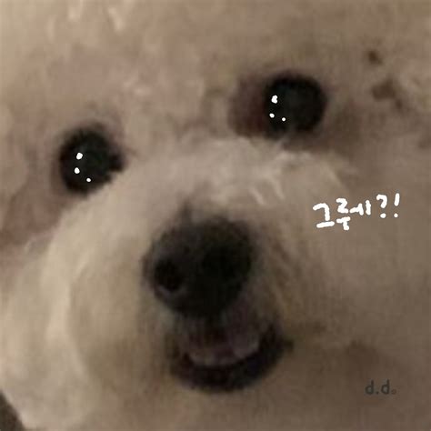얼룩 강아지