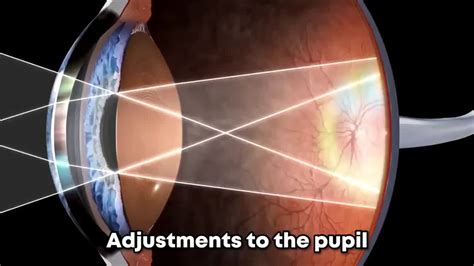 Farid Ali Posted On Linkedin