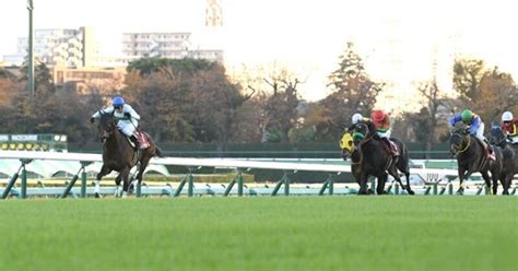 【ステイヤーズs（g2）回顧～その先へ】日刊コンピ篇｜haya