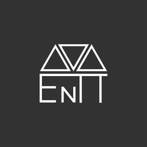 Logo Issue Skypjack Entt Github