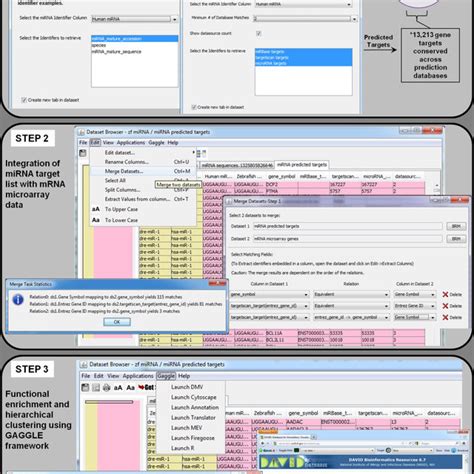 Example Workflow For Integration And Analysis Of Mirna And Mrna Example Workflow For Integration And Analysis Of Mirna And Mrna