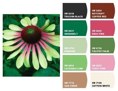 Paint Colors From Chip It By Sherwin Williams Color Schemes Colour Palettes Color Sherwin