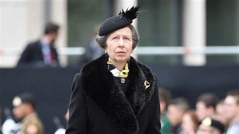 Consideran A La Princesa Ana La Heredera Ideal De Los Cargos Militares