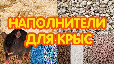Наполнитель для крыс - какой лучше? - YouTube