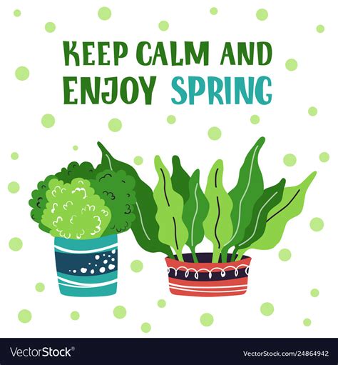 Houseplants Set Royalty Free Vector Image Vectorstock