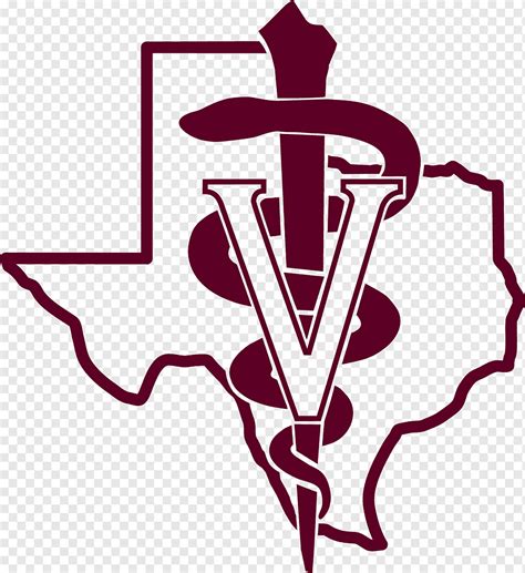 Texas Aandm كلية الطب البيطري والعلوم الطبية الحيوية طبيب بيطري التعليم