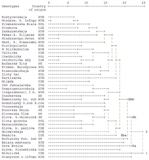 Dendrogram Of 40 Maize Genotypes Prepared Based On 13 Rapd Markers Cze