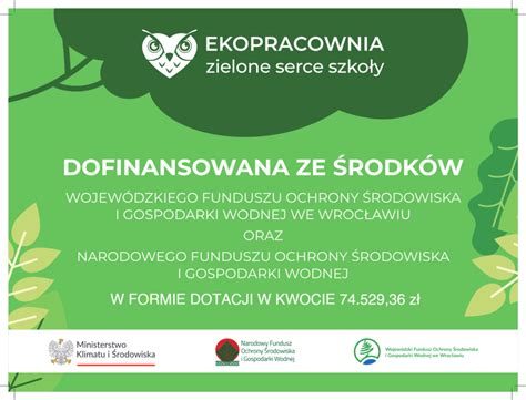 Jak żywioły działamy z energią Ekologiczna Szkoła Podstawowa nr 7 im Juliana Tuwima w Bielawie