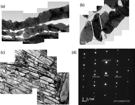 Bright Field Tem Micrographs Of The Deformation Characteristics Of The Download Scientific