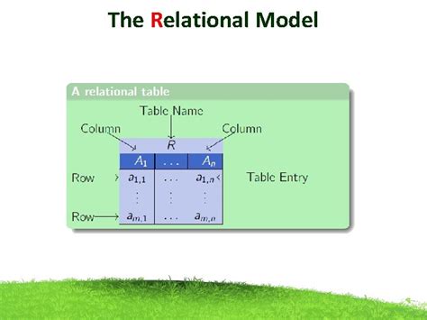 the relational model the relational model introduction introduced