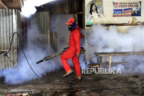 10 Wilayah Kerja Puskesmas Sukabumi Terbesar Kasus DBD Republika Online