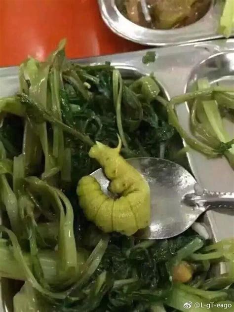 大學食堂的黑暗料理，我就服最後一個！ 每日頭條