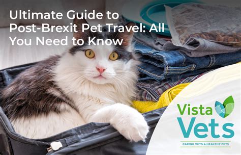 Ultimate Guide To Post Brexit Pet Travel All You Need To Know Vista Vets