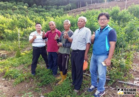 春日歸崇社區友善環境耕作 獲屏東第一家審認團體 地方 Nownews今日新聞