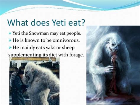 Ppt On Yeti