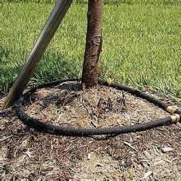Soaker Hose Tree Irrigation Ring