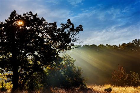 Cka Free Practice Tests Certified Kubernetes Administrator Mock Exam Questions Myexamcloud