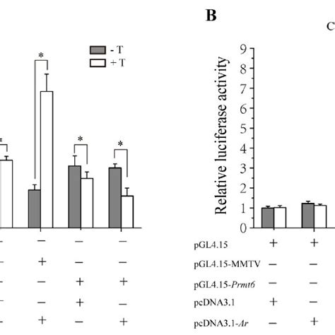 Germ Cell Apoptosis Was Promoted By Transfecting Gc 1 And Gc 2 Cells