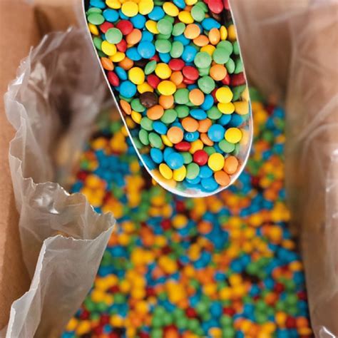 Rocklets Chicos El Guacamaya